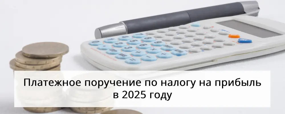 Платежное поручение по налогу на прибыль в 2025 году образец как